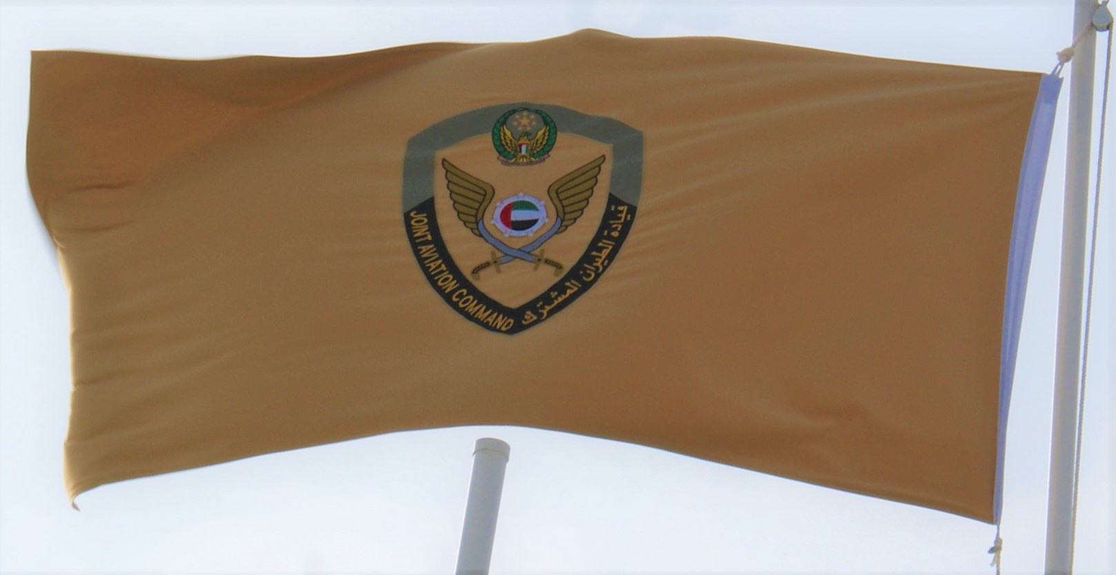 Military Flags (United Arab Emirates)