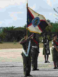 Belize - Military Flags