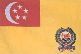 Army Flags (Singapore)