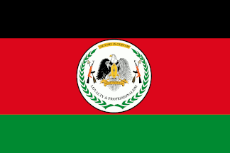 South Sudan People's Defence Forces