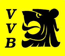 Vlaamse Volksbeweging (Action group, Belgium)