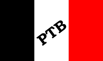Brazilian Major Political Parties