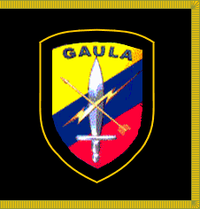 Colombia - Army Units Flags