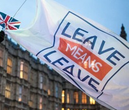 Brexit and Stop Brexit flags (United Kingdom)