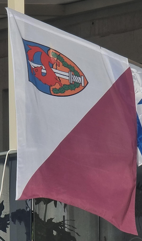 Giv'ati Brigade – Branch of Service Flag (Israel)
