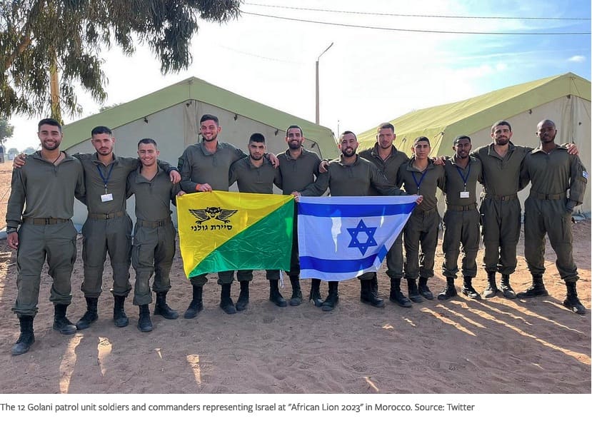 Golani Infantry Regiment Branch of Service Flag (Armed Forces, Israel)
