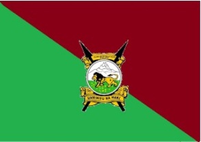 Kenya Police flags