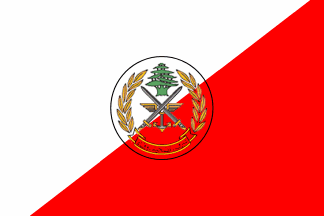 Lebanese Army Flag