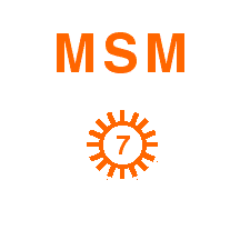 Militant Socialist Movement (Mauritius)