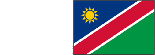 Namibian Air Force