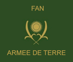 Forces Armées Nigériennes, Niger