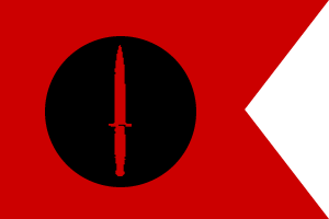 Pakistan Army Infantry Divisions