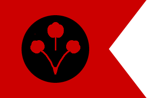 Pakistan Army Infantry Divisions