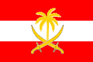 Pakistan Army Corps Unit Flags