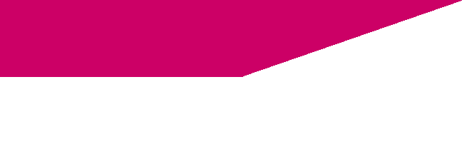 Lance pennons of the Polish Army (1920-39)