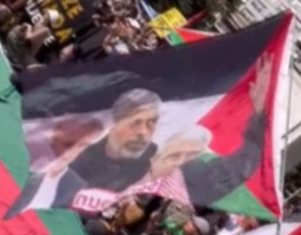 Palestinian flag variants used as protest flags