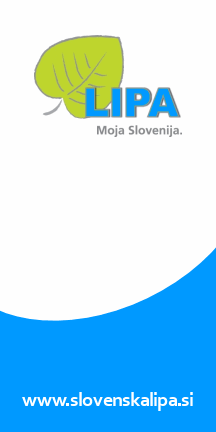 Linden (Political party, Slovenia)