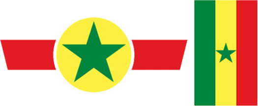 Senegal Air force roundels and fin flashes
