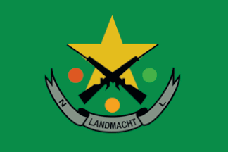 Suriname - Military flags