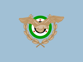 Syrian Air Force