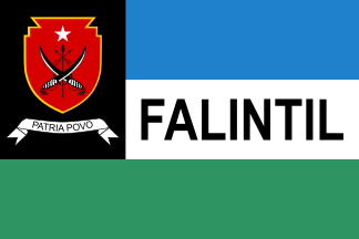 Timor Leste Defence Force