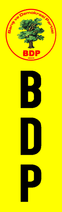 Peace and Democracy Party (Turkey)