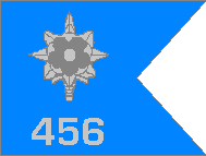 Army - 456th Military Intelligence Company (U.S.)