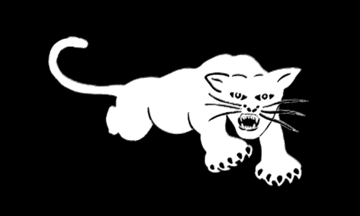 White Panthers Party (U.S.)