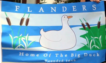 The flag of the hamlet of Flanders, New York : r/vexillology