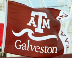 Texas A&M University (U.S.)